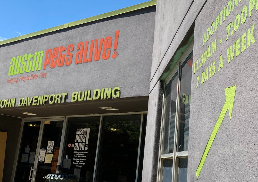 Adopt a Furry Friend with Austin Pets Alive! – UNATION