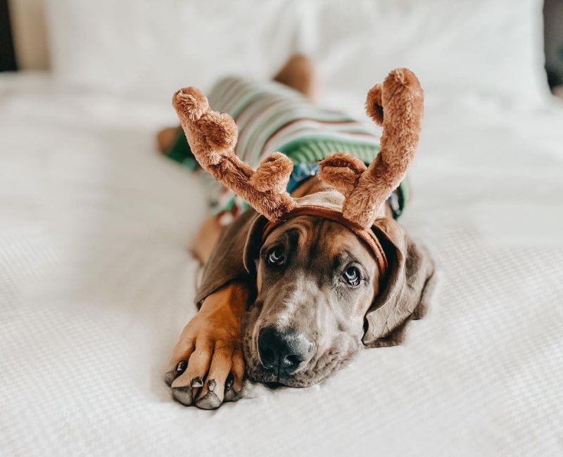 Top Austin Influencers To Follow on Instagram to Spice Up Your Feed