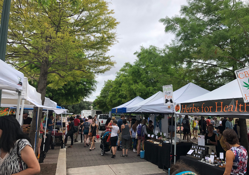 Our Favorite Springtime Activities in Austin