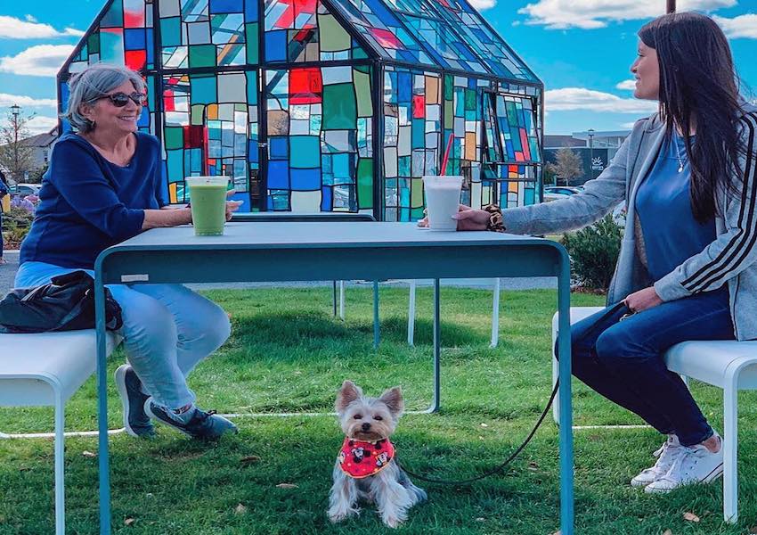 10 Best Dog-Friendly Restaurants in Orlando