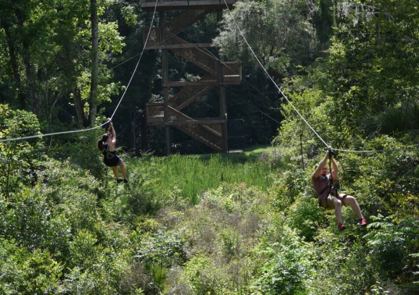 Zip Lining Near Tampa Bay