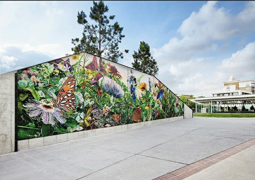 Beautiful Murals in Midtown We Can’t Get Enough Of | UNATION