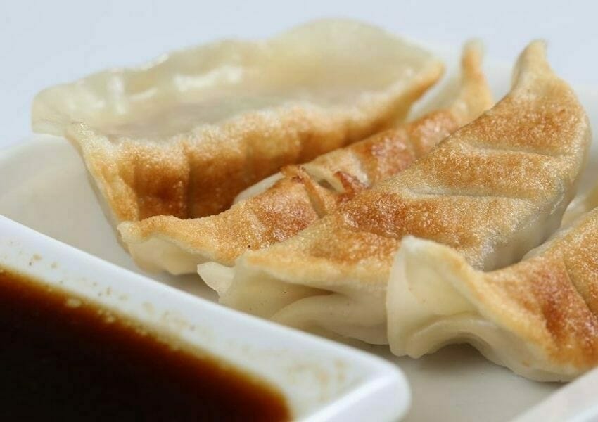 best dumplings best dumplings tampa dumplings tampa dumplings near me