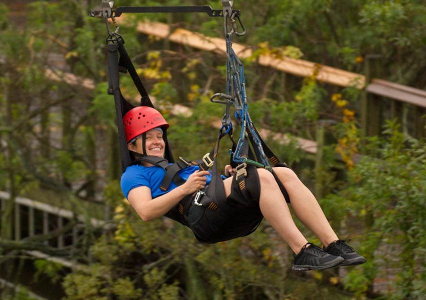 Gatorland Accessible Zip Line