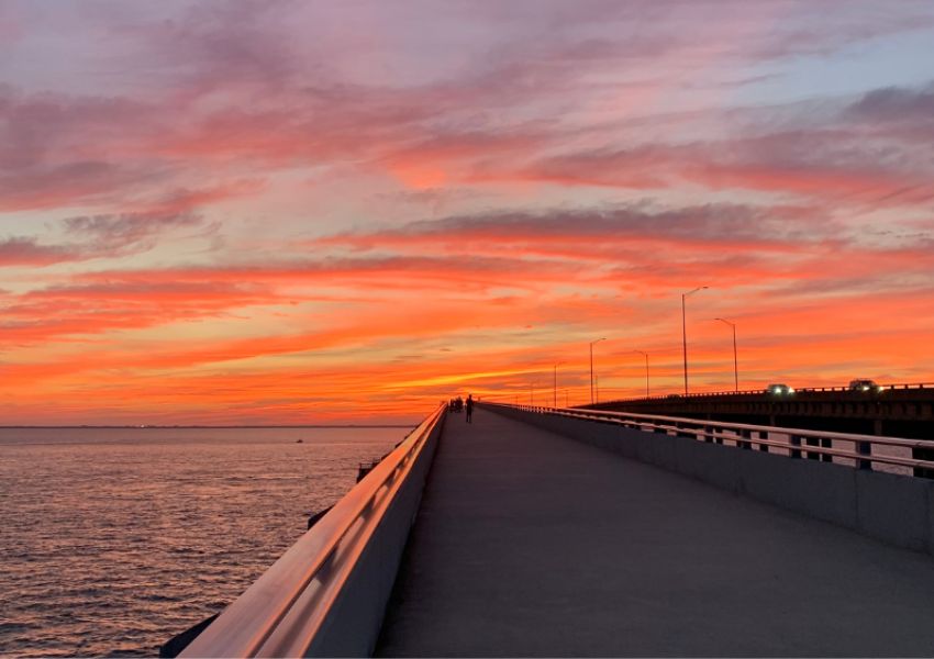 Top 10+ Bike Trails in Tampa Bay You Need to Try