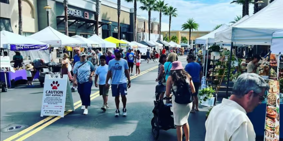 15+ Must-Visit Markets in Tampa Bay: The Ultimate Guide