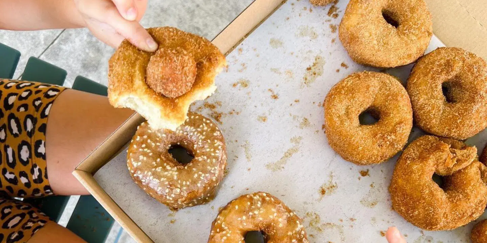 5+ Best Donuts Tampa Bay: Our Top Sweetest Spots